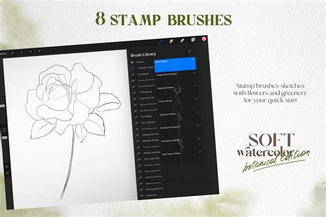 Botanical Soft Watercolor Procreate Brushes Design Cuts