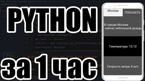 Python за 1 час Youtube