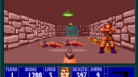Wolfenstein 3d Online Eiprof