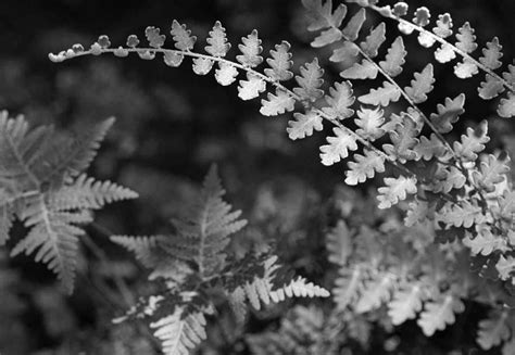 The Fifth Season Rain Sex And Hope Cenizo Journal