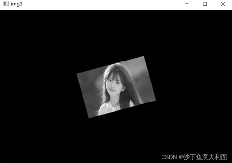 图像的仿射变换numpy图像的仿射变换 Csdn博客