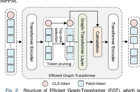 multi scale efficient graph transformer for whole slide image classification paper and code