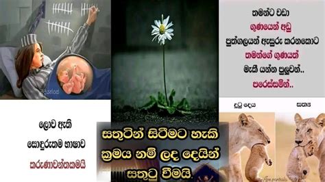 ජීවිතයට වටිනා වදන් පෙළක් 06 2024 02 15 Youtube