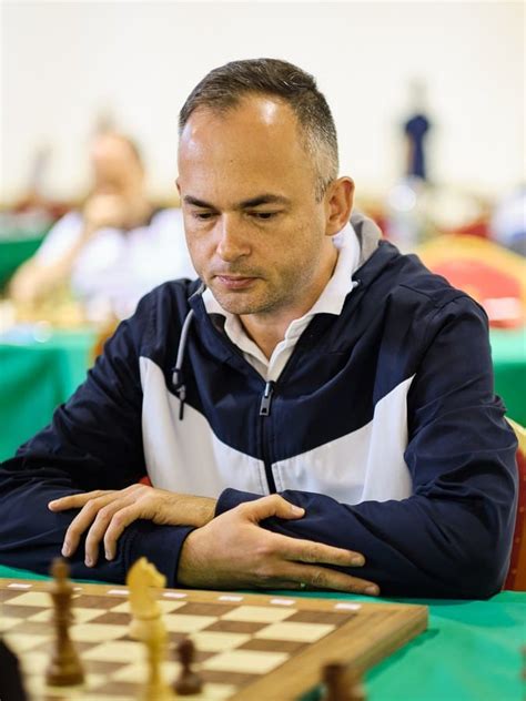 andrzej krzywda szachy w polsce