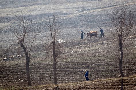 10 Million North Koreans Face Food Shortages After Bleak Harvest
