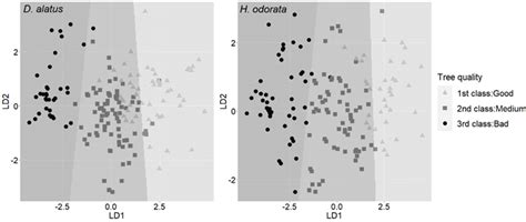 Linear Discrimination Functions For Tree Quality Classification In A