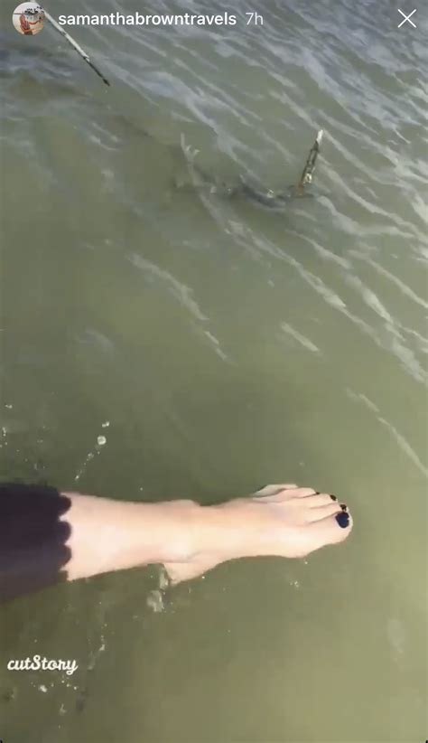 Samantha Brown S Feet