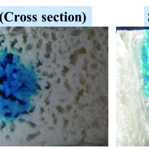 Optical Microscopy Visualization Of Anisotropic Diffusion Of Dye Download Scientific Diagram