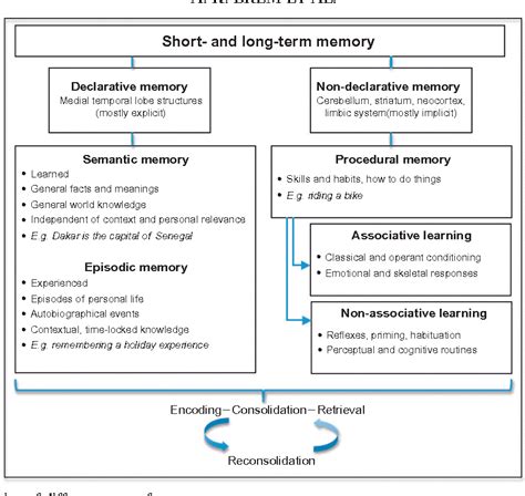 Figure 55 1 From Learning And Memory Semantic Scholar