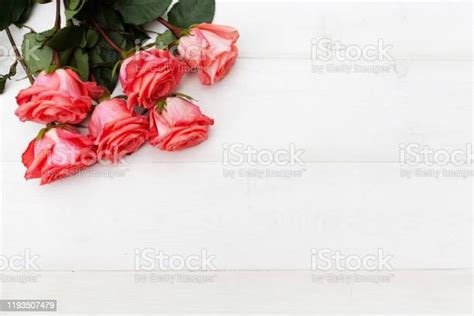 흰색 나무 배경에 분홍색 장미 꽃 프레임 어머니의 날 세인트 발렌타인 데이 장미 핑크 장미꽃 텍스트 복사 공간이있는 꽃 배경 이미지 0명에 대한 스톡 사진 및 기타 이미지