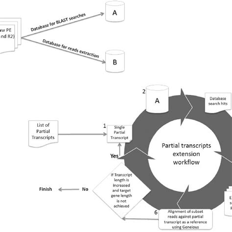 Transcript Extension Pipeline I Rna Seq Raw Reads Formatted Database Download Scientific