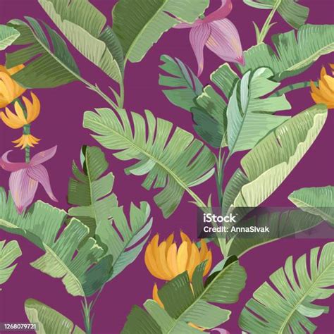 보라색 배경에 녹색 열대 바나나 팜 잎 꽃 과일 과점 과뭇 가지와 원활한 인쇄 종이 섬유 디자인 패턴 식물 열대 우림 장식 벡터 일러스트레이션 0명에 대한 스톡 벡터 아트