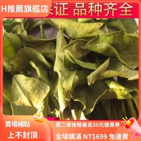 H推薦中藥中藥材 新貨桔葉金橘葉 橘葉 桔子葉 金桔葉500克 可打粉 蝦皮購物