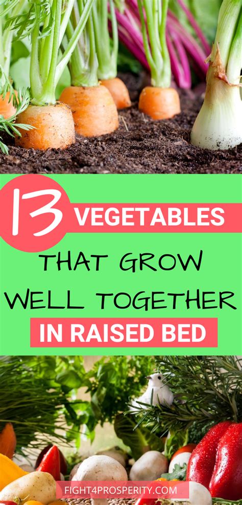 13 Vegetables That Grow Well Together No Matter What Companion