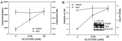 Txnip And Trx Expression In Response To Glucose Assessed By Gene Download Scientific Diagram