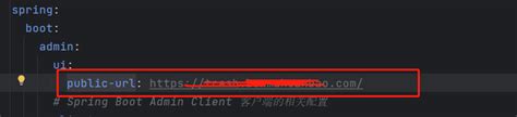 Spring Boot Admin 在中无法正常访问的问题springbootadmin Assets访问不到 Csdn博客