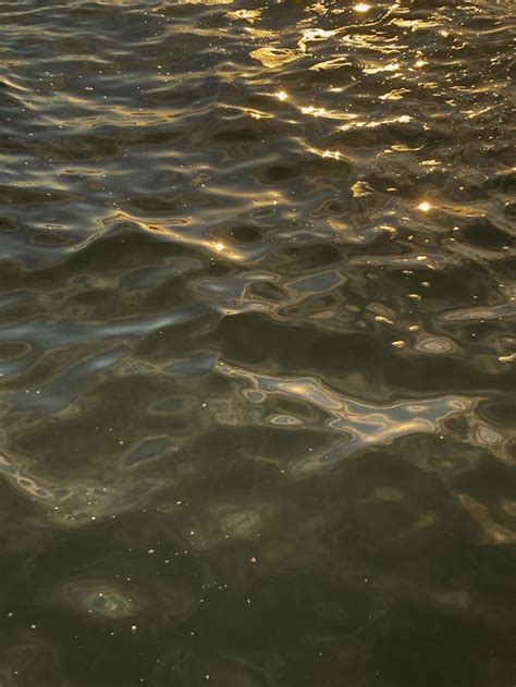 가벼운 경치가 좋은 고요한 그림 따뜻한 매혹적인 물 물결 모양 바다 반사 반짝반짝 빛나는 반짝이다 반짝임 배경 빛나다 생생한 손을 흔들다 수면