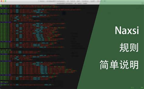 naxsi规则简单说明 ngx project ngx hk