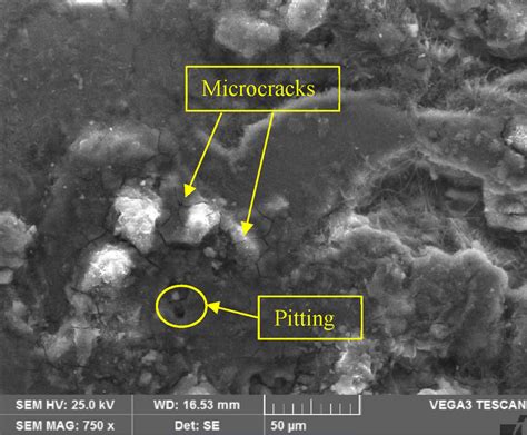Sem Micrograph Of 05 Wt Cntaz31 Composite After Corrosion Test