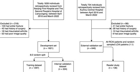 Transformer Based Multi Label Deep Learning Model Is Efficient For Detecting Ankle Lateral And