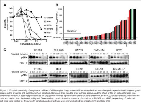 Figure 1 From Fgfr1 Mrna And Protein Expression Not Gene Copy Number