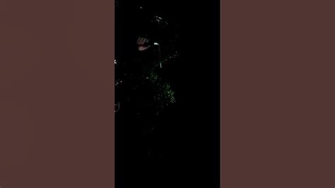 Different Angle Lol Youtube