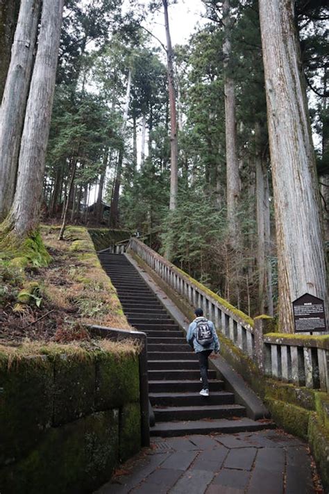 가방 계단 긴 머리 나무 덴카이이나리 신사 뒷모습 랜드마크 불교의 서 있는 여성 여행 일본 입구 종교 지역 랜드마크 출입구 후쿠오카에 관한 무료