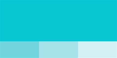 Colors Uva Health Brand