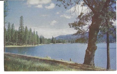 Bass Lake California Postcard Campground Area Yosemite Highway Ebay