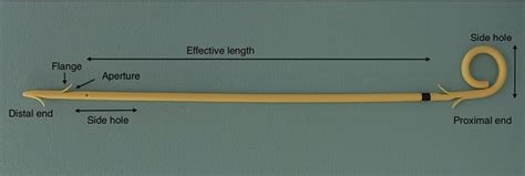 Newly Designed Plastic Stent For Eus Guided Hepaticogastrostomy