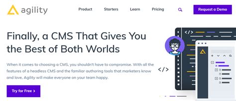 headless cms definition advantages examples and software