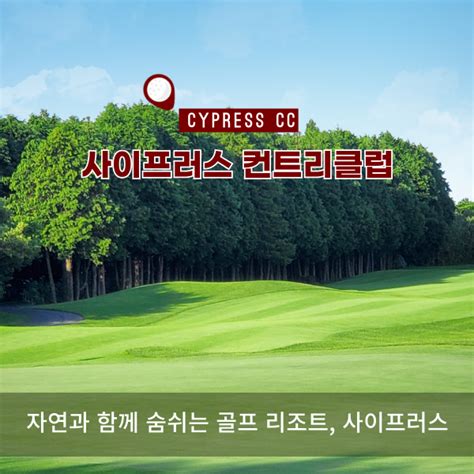 제주도 골프장 사이프러스cc 회원권 시세 공노리