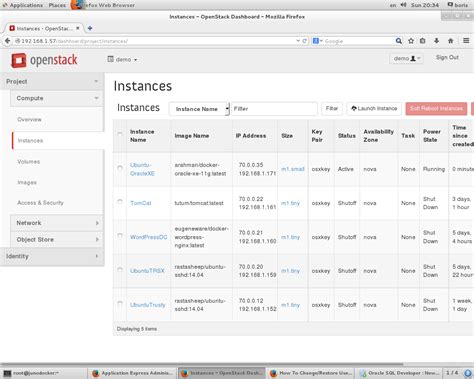 Xen Virtualization On Linux And Solaris Running Oracle Xe 11gr2 In Nova Docker Container On