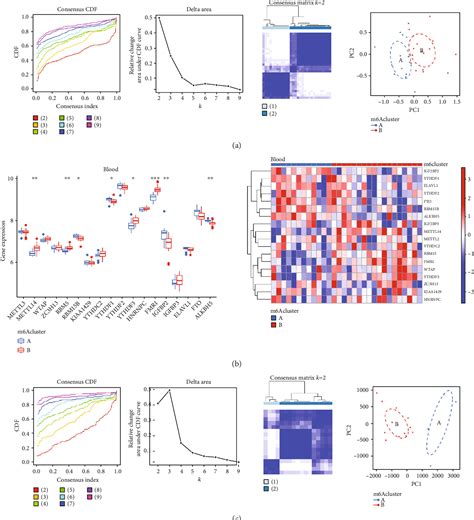 Figure 3 From N6 Methyladenosine Regulator Mediated Rna Methylation Is Involved In Primary