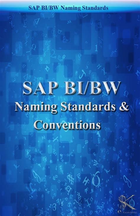 Sap Bibw Naming Standards And Conventions Ebook Ks Ks Ks Amazonca