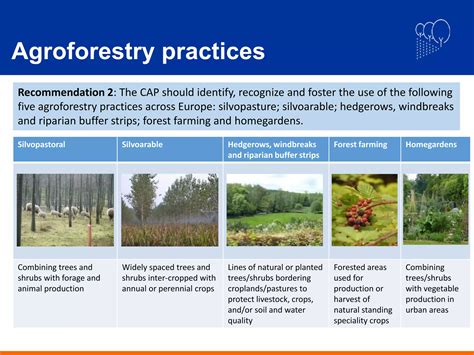 Policy To Promote Agroforestry In Europe Ppt