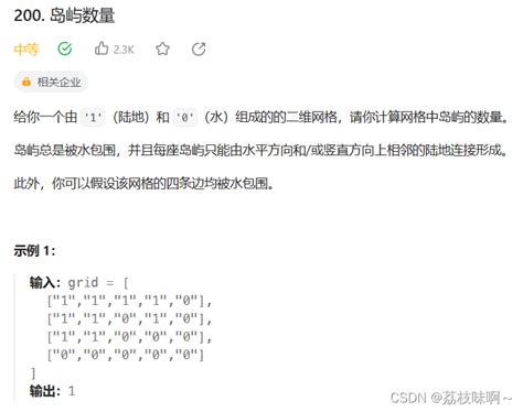 Leetcode200岛屿数量 Csdn博客