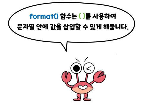 돌핀코딩 1700번 Format 함수를 활용한 문자열 출력 프로그램 만들기