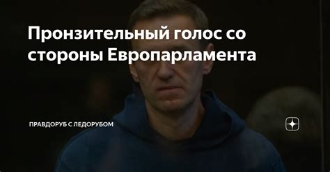 Пронзительный голос со стороны Европарламента Правдоруб с ледорубом Дзен