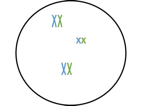 Mole Gen Final Flashcards Quizlet