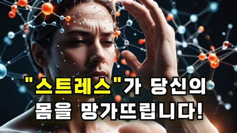스트레스가 건강을 파괴하는 5가지 이유 ㅣ 만성 스트레스가 당신의 몸에 미치는 충격적인 영향 대처법 공개 Youtube