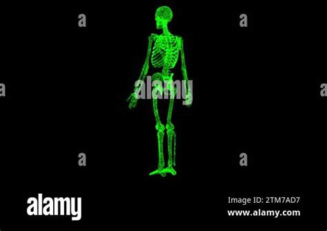 3d Skeleton Rotates On Black Bg Object Dissolved Green Flickering Particles 60 Fps Business