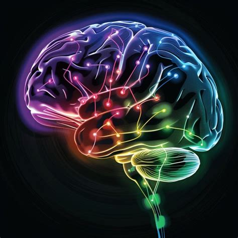 Free Illuminated Neural Pathways Image Download At Stockcake