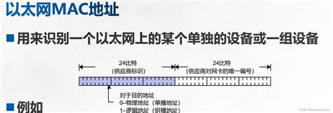 交换机基本原理与配置交换机的基本功能 Csdn博客