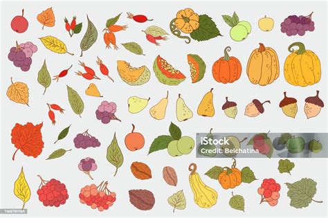 가을 개체 컬렉션입니다 손으로 그린 단풍 열매 견과류 호박 아이콘 세트 밝은 배경에 고립 된 채소와 과일을 색칠하십시오 도토리