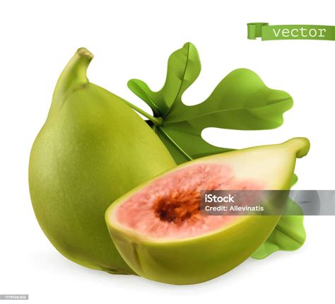 무화과 3d 현실적인 벡터 아이콘 무화과에 대한 스톡 벡터 아트 및 기타 이미지 무화과 0명 3차원 형태 Istock