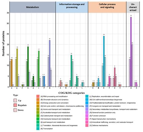 cog kog functional classification of differentially accumulated