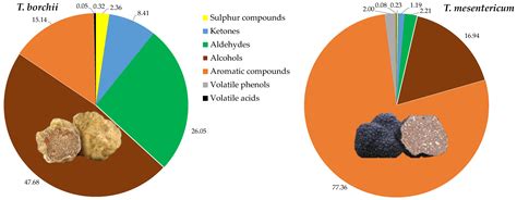 Odour Fingerprints Of Black Tuber Mesentericum And Bianchetto Tuber
