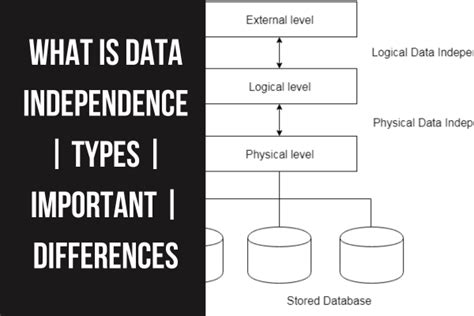 What Is Data Independence Trend Around Us
