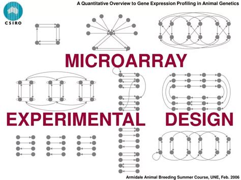 ppt microarray powerpoint presentation free download id 6143620